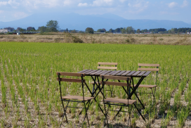 momo farmの「花園創」でアグリツーリズモを体験！【とちぎの農村めぐり 農村人特集】 | とちぎの農村めぐり特集 | 栃木県農政部農村振興課